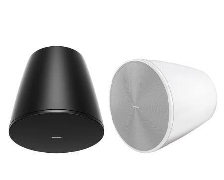 Bose DesignMax DM10P Pendant Subwoofer - SingaporeProAudio