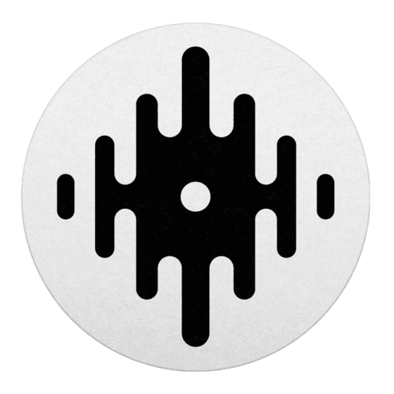 12″ Serato DJ Logo Slipmats – black on white (Pair) - SingaporeProAudio